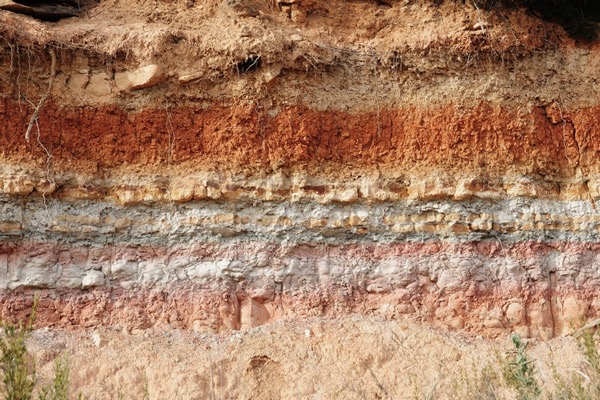 Edetària - im Land der Garnacha(s) – Spaniens Weinwelten